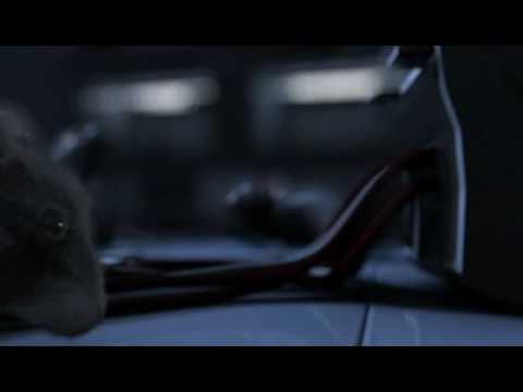 Curta de animação,”One Rat Short”, de Alex Weil | Inspirad